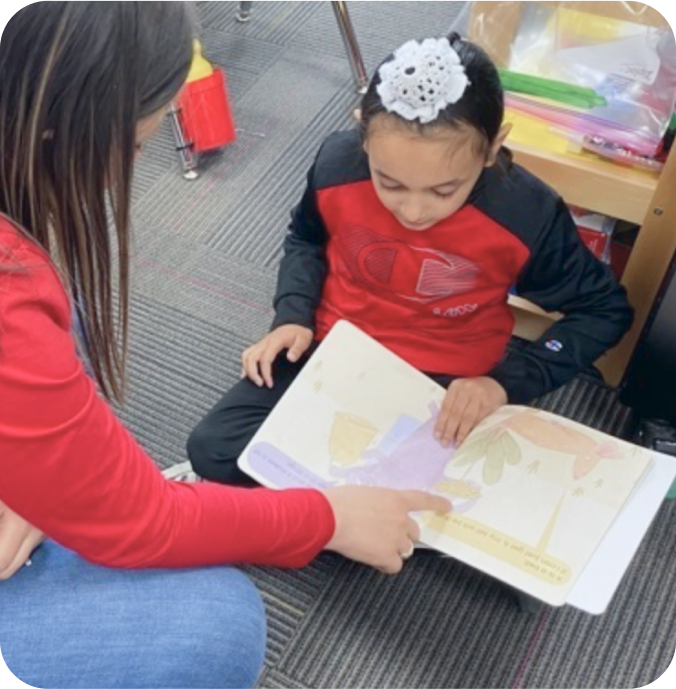 Heggerty Library Decodable Books