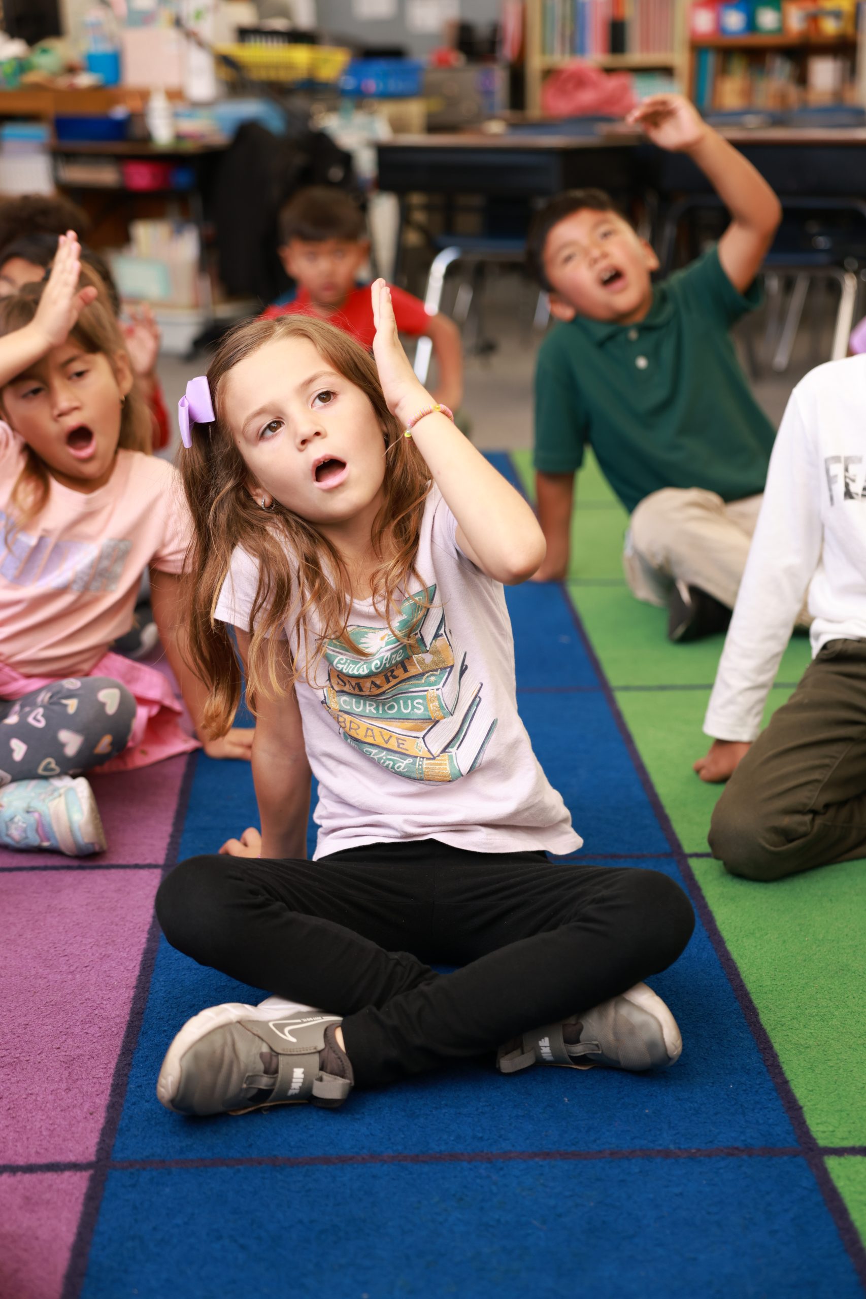 Primary Extension for Phonemic Awareness | Advanced Literacy Support